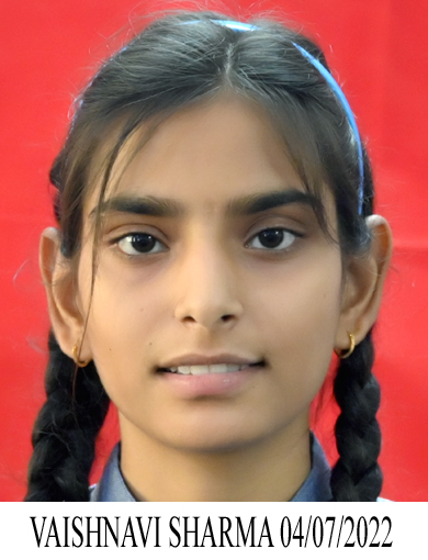 CBSE Toppers XIIth Class :: St Mary's Sr. Sec. School, Jwalapur